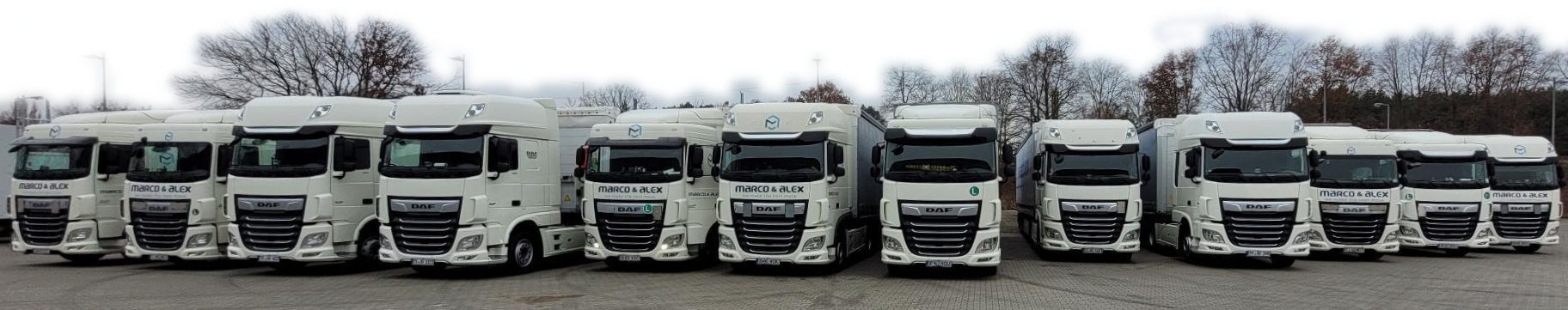 Marco & Alex Transport & Logistics